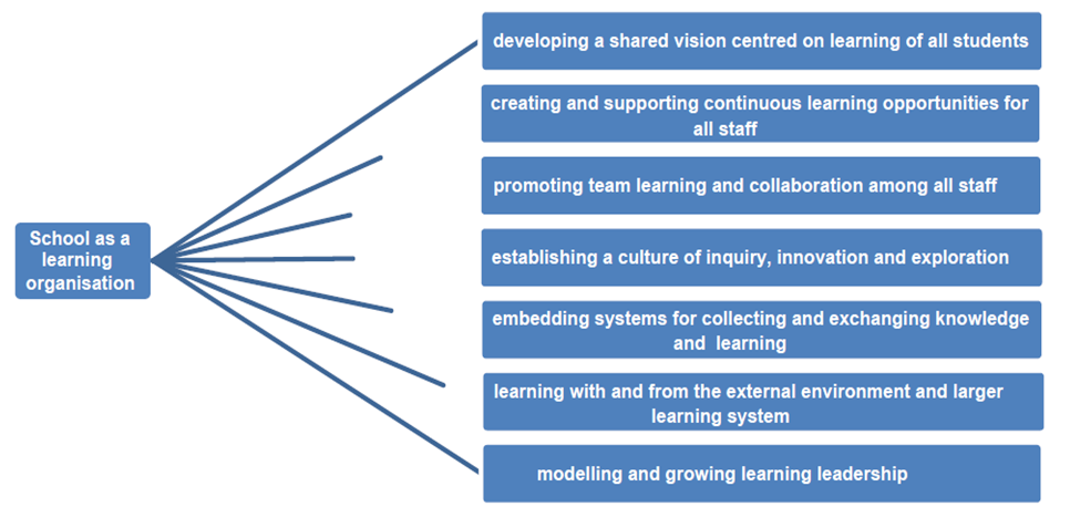 Schools as learning organizations: tips for the Model and its Assessment